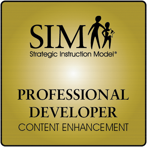 SIM Content Enhancement Professional Developer - Strategic Instruction ...