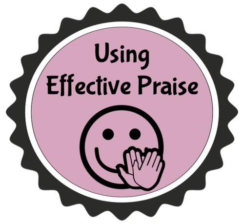 Using Effective Praise - Cayuga-Onondaga Teacher Center - Badge List