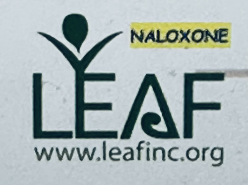 NALOXONE/Narcan- What You Need to Know - Teaching Children Citizenship ...